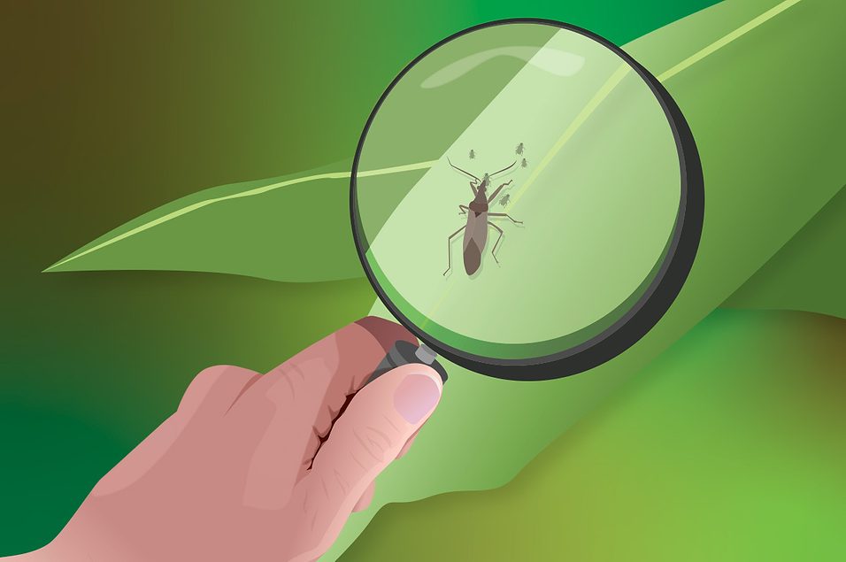 Integrated pest management in ag’s modern era | Ag Proud