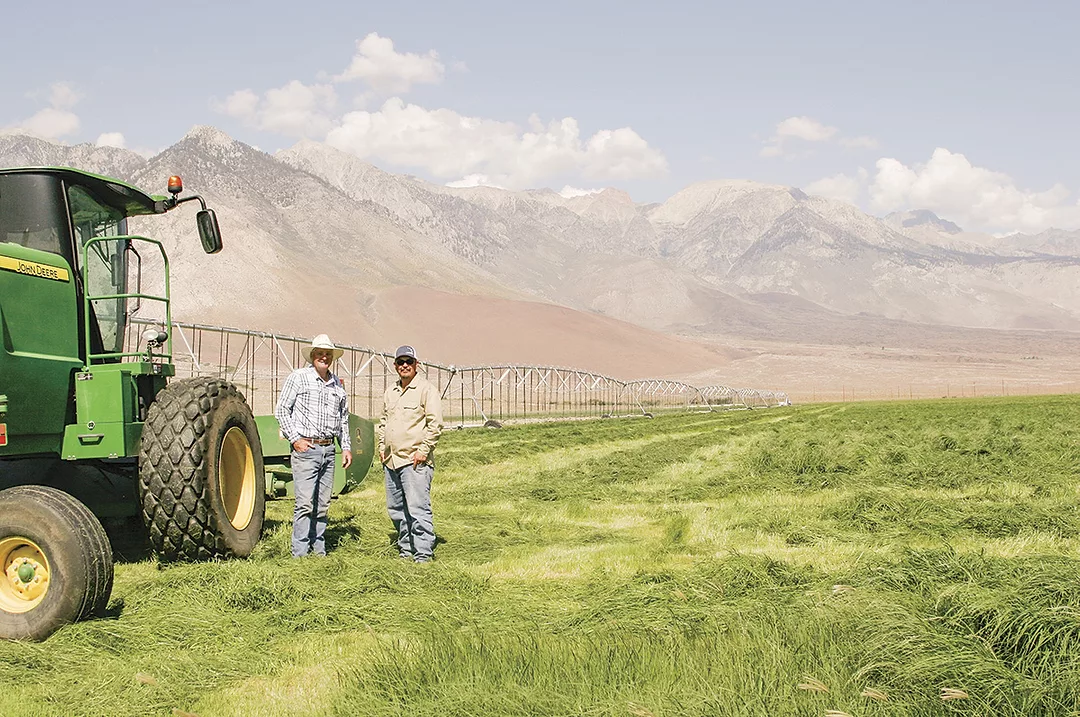 Getting ‘unstuck’ with teff | Ag Proud