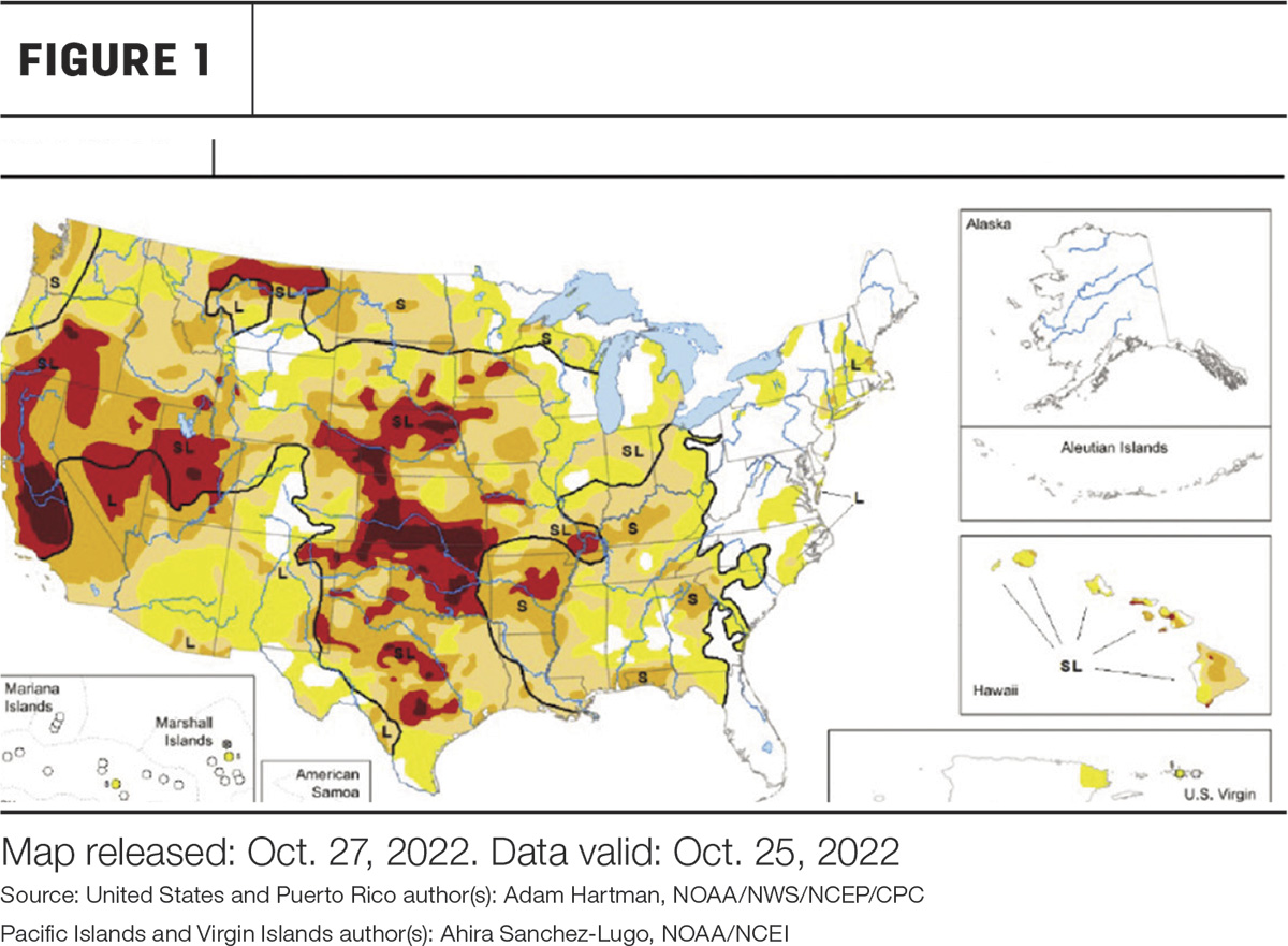 Drought-Stressed Corn Silage: What You Can Expect | Ag Proud