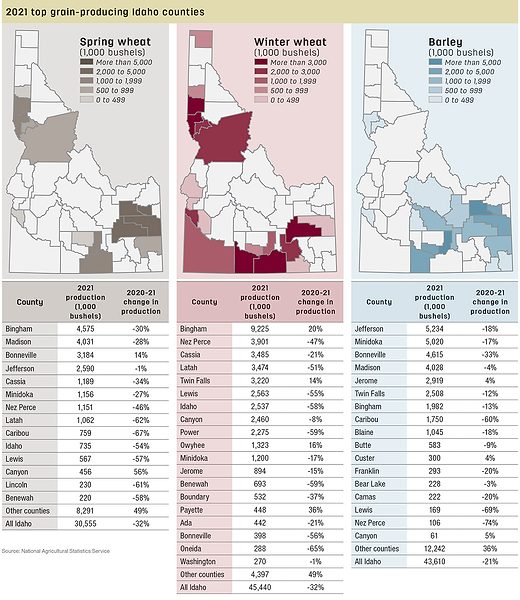 The “eyes” have it: Idaho ag stats through illustration | Ag Proud