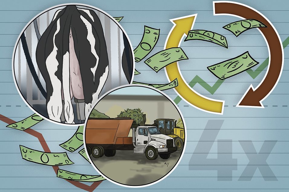 How to increase dairy farm cash flow | Ag Proud
