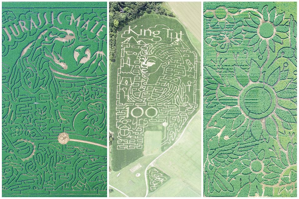 MazePlay’s fantastic corn mazes | Ag Proud