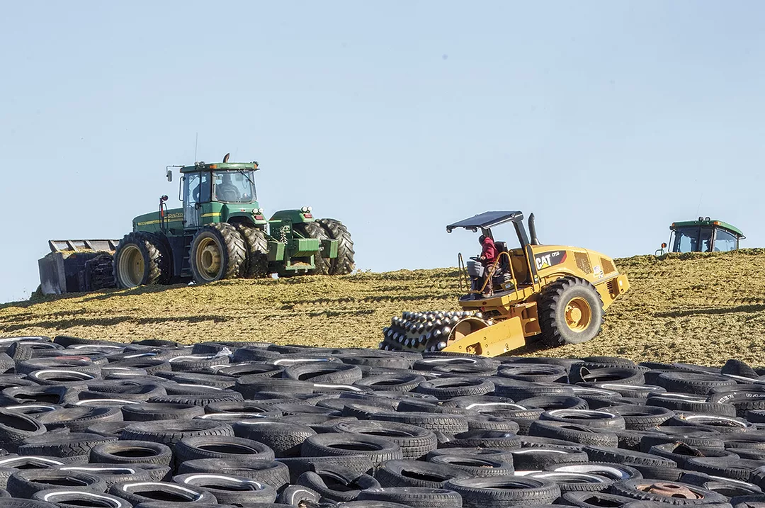 Reducing the risk of clostridial fermentation in silage | Ag Proud