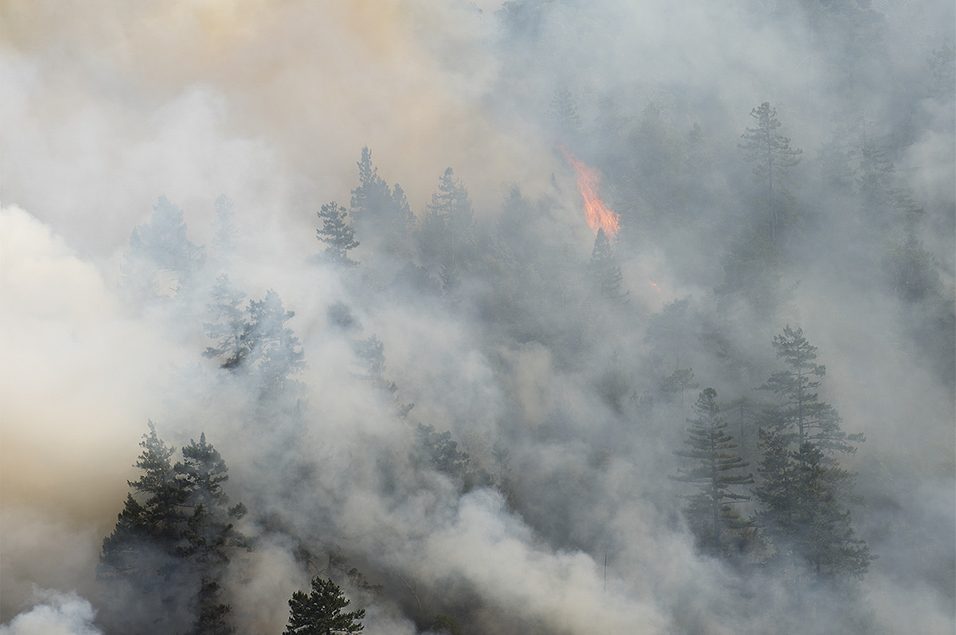 Wildfire smoke exposure, potential consequences and how to help ...