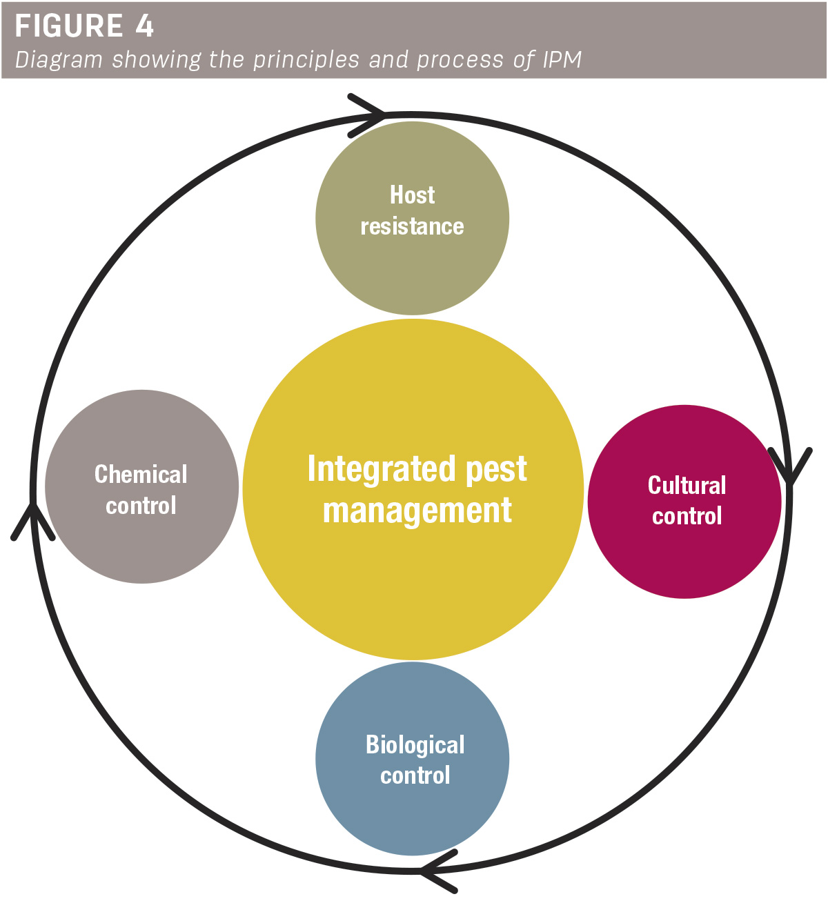 The evolution and future of modern agricultural pesticides | Ag Proud