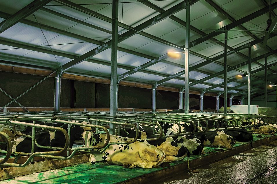 Selecting the proper lighting for your barn | Ag Proud