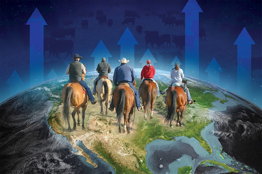 Moving into the future: A different outlook on a successful succession ...
