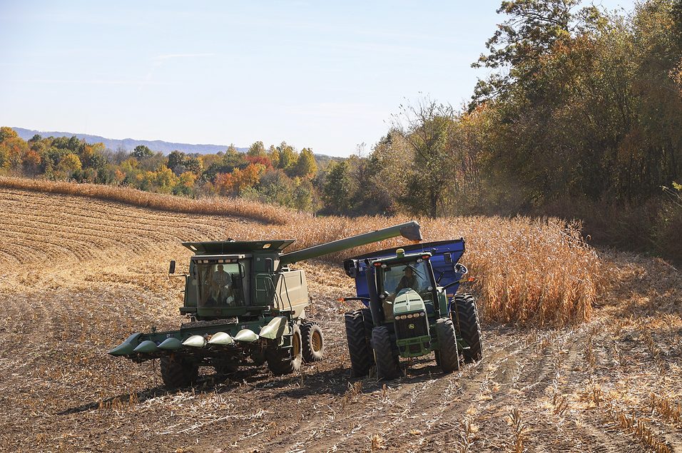 USDA WASDE report show corn price unchanged at $4.10 per bushel | Ag Proud