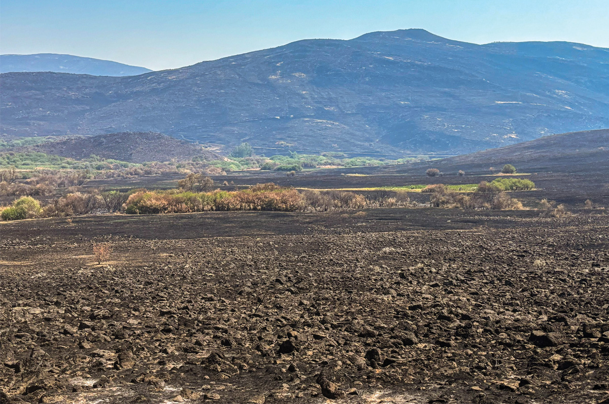 Southwest Idaho’s worst fire season in over two decades | Ag Proud