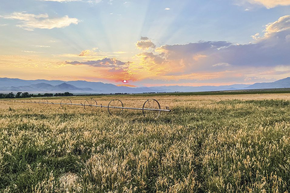 Farmers and ranchers improve soil with regenerative ag strategies | Ag ...