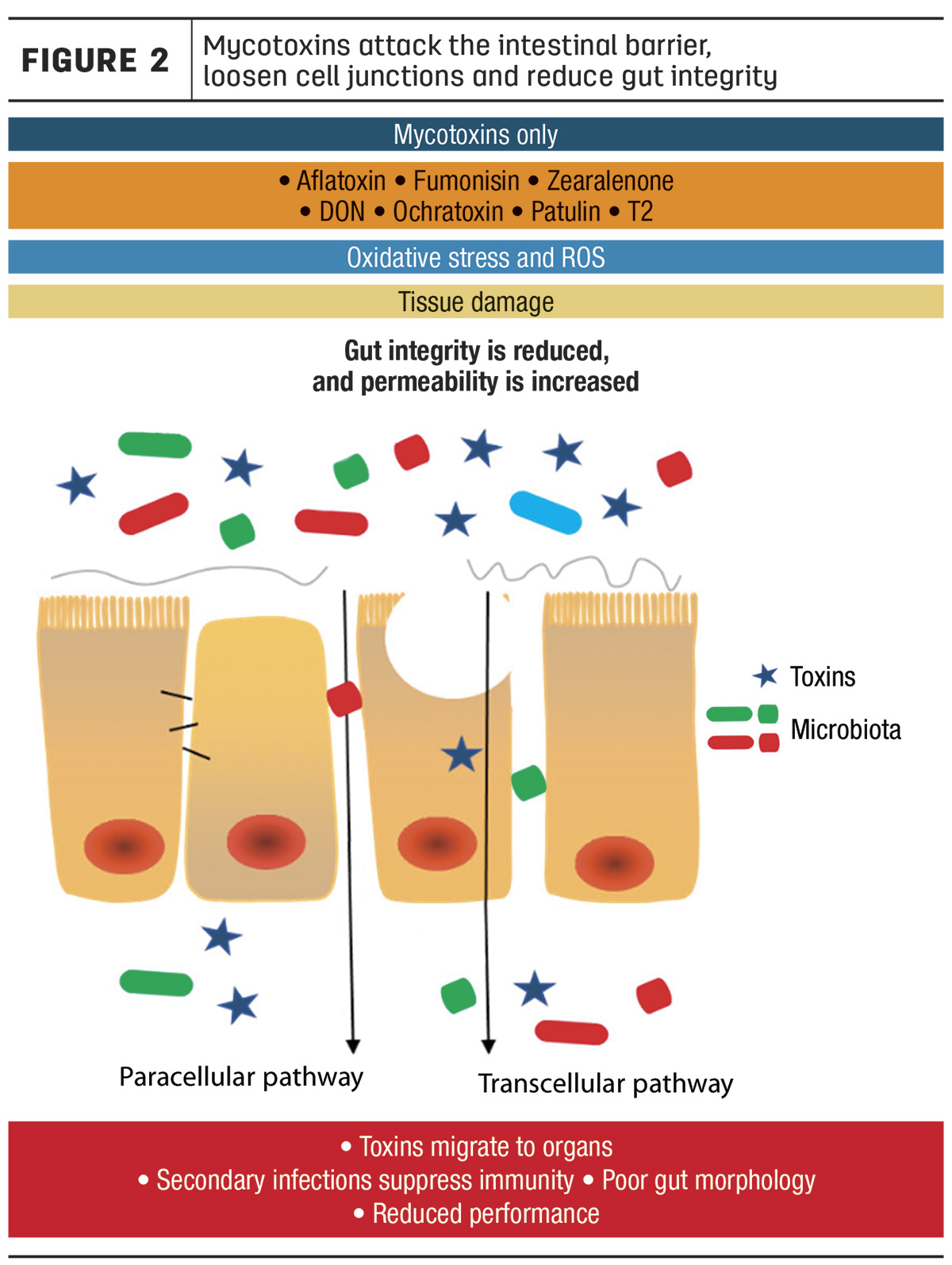 Mycotoxin strategies should prevent, protect and build resilience | Ag ...