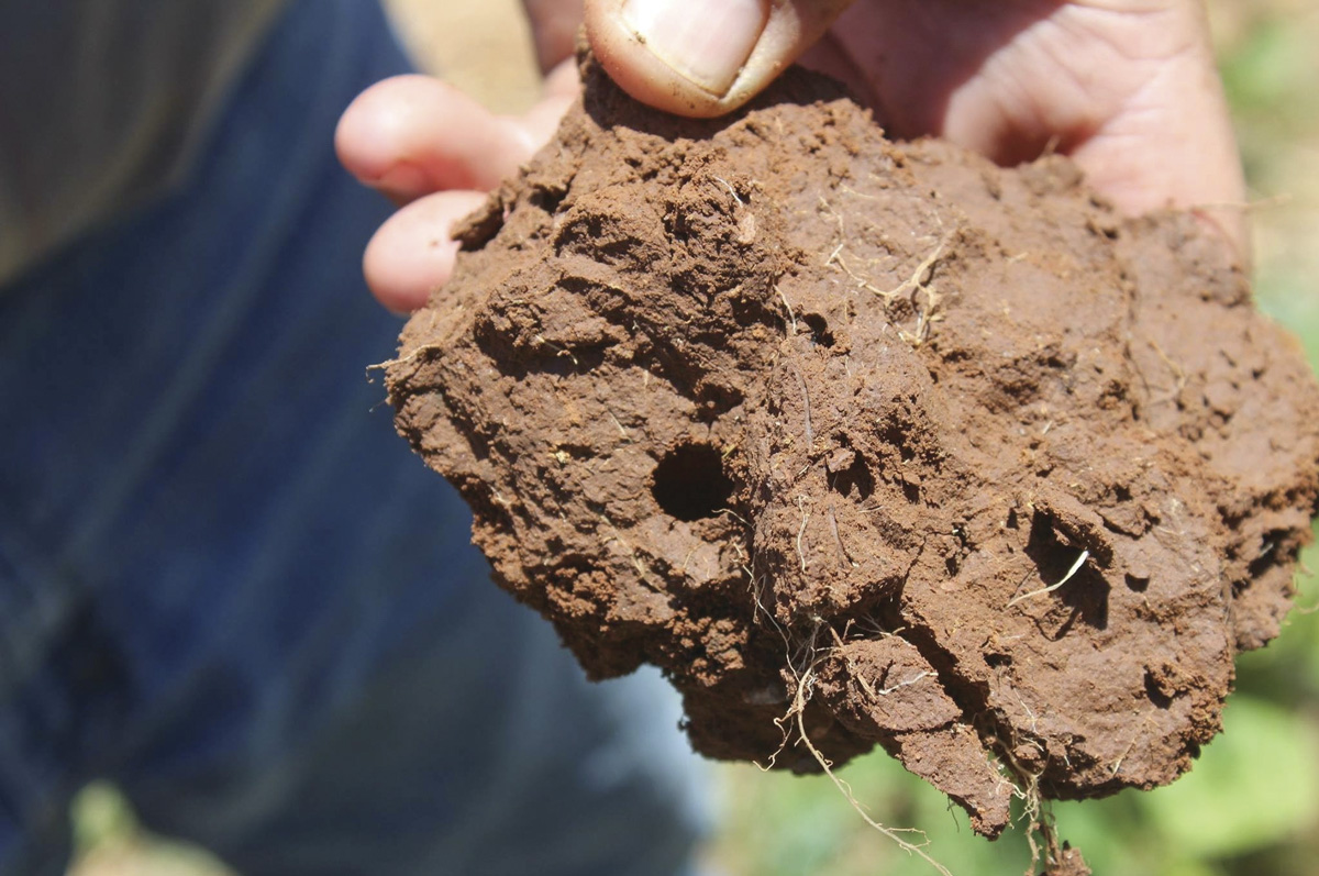 Monitoring and managing soil and pasture health | Ag Proud