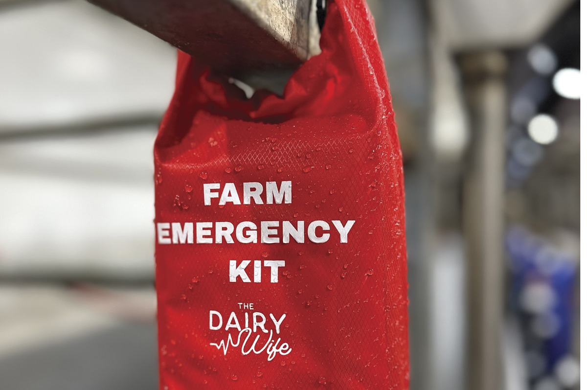 A safer farm makes a stronger farm: Virginia dairy wife creates ...