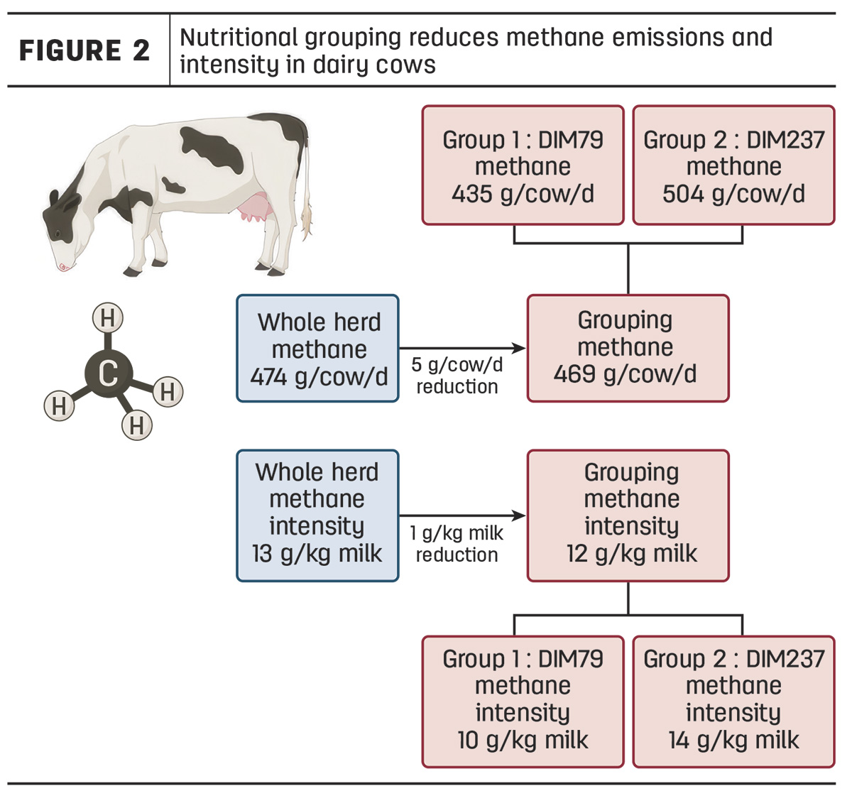 Grouping cows, cutting methane: The next step in precision feeding | Ag ...