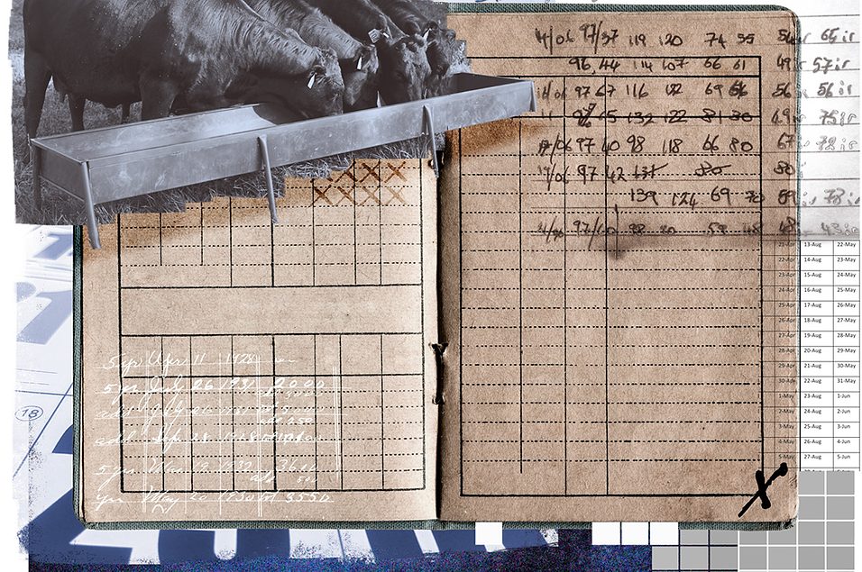 What is too much to keep on record? | Ag Proud