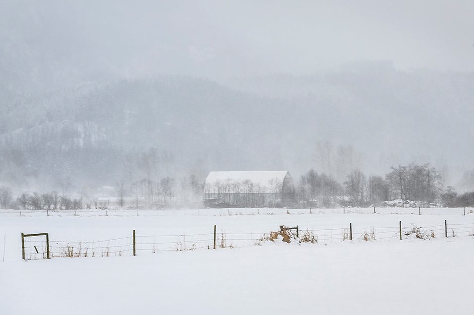 Getting through winter on the farm | Ag Proud