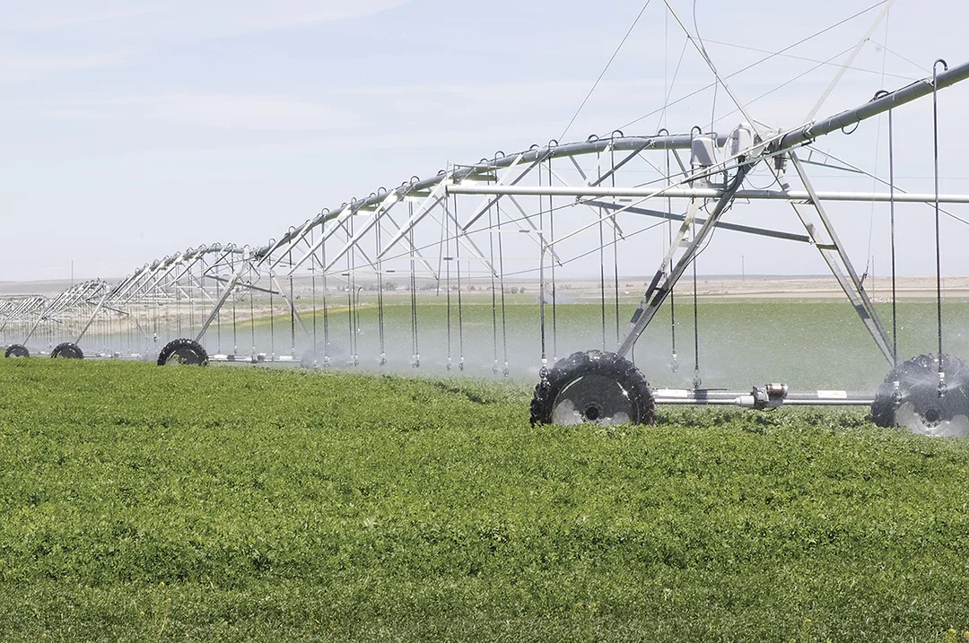 Land rental rates for Idaho agricultural operations | Ag Proud