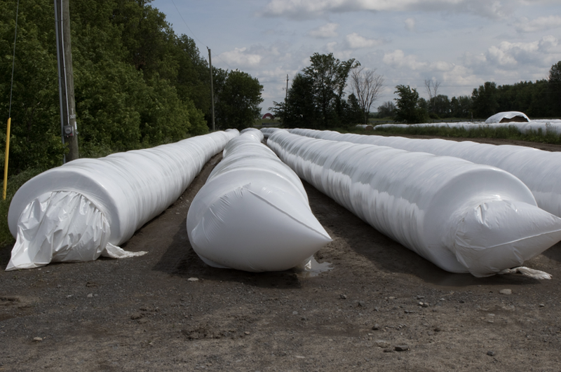 7 tips to make better baleage - Progressive Dairy Canada | Ag Proud