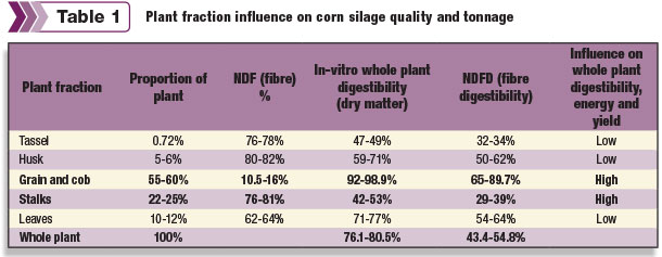 From seed to feed: Choosing the right corn silage hybrid - Progressive ...