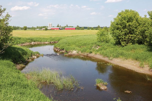 Dairy farmers provide feedback in proAction pilot project - Progressive ...
