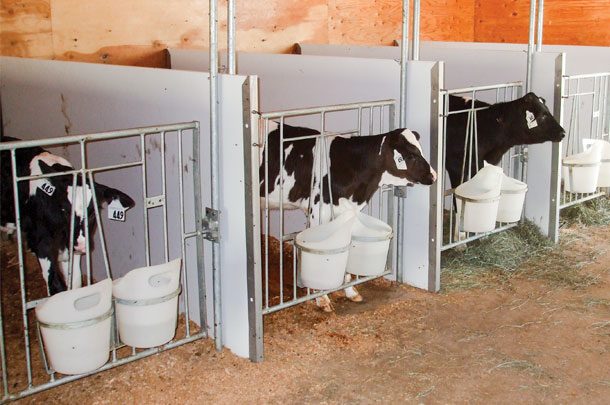 Calf barn ventilation 101 - Progressive Dairy Canada | Ag Proud