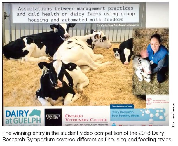 Dairy Research - For a Healthy World: Using hutches or automated milk ...