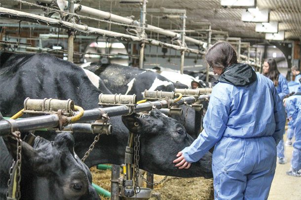 Dairy Farmers of Canada: proAction’s biosecurity module launched ...