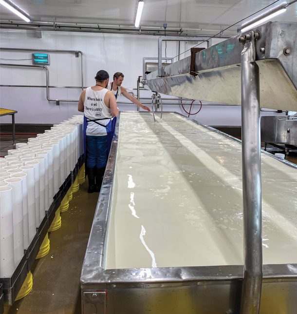 Self-taught cheesemakers venture into retail market | Ag Proud