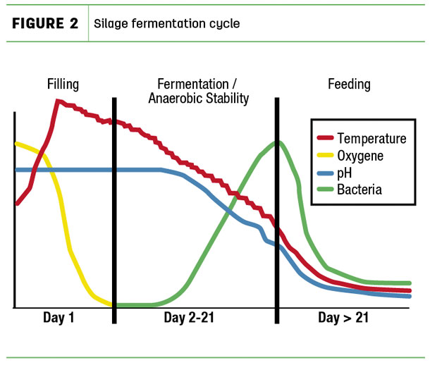 Using key indicators on the farm to optimize quality of forages ...
