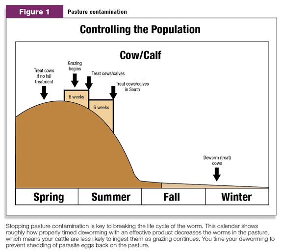 Are you deworming your pasture? - Progressive Cattle | Ag Proud