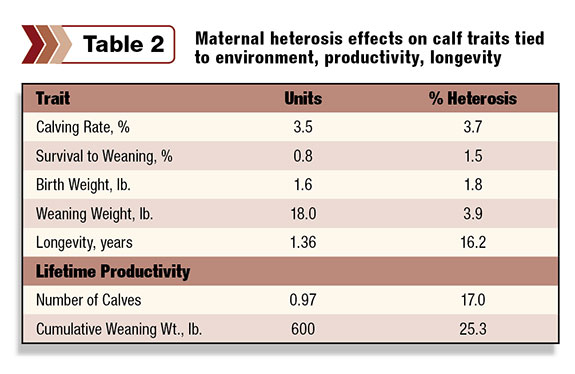 The worth of heterosis, crossbreeding in the beef value chain | Ag Proud