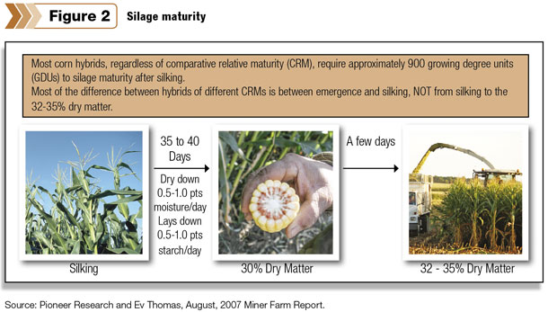 Long on corn? Short on forage? Time to consider corn silage - | Ag Proud