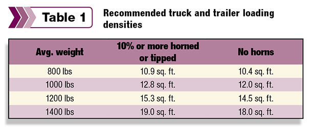 Load and haul your cattle with safety in mind - Progressive Cattle | Ag ...