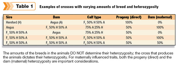 Heterosis, heterozygosity considerations for cattle producers ...