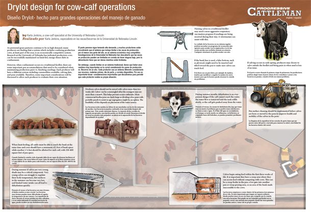 Drylot design for cow-calf operations - Progressive Cattle | Ag Proud