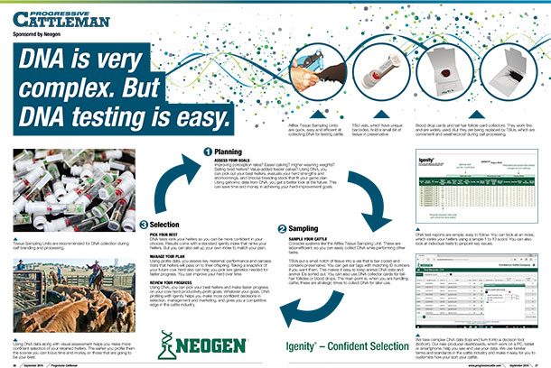 DNA is very complex. But DNA testing is easy. - Progressive Cattle | Ag ...