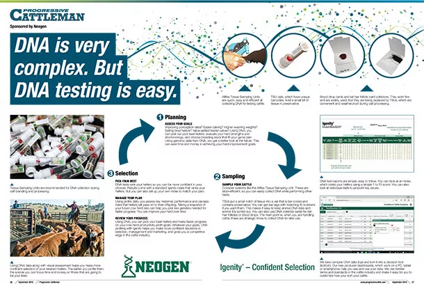 DNA is very complex. But DNA testing is easy. - Progressive Cattle | Ag ...