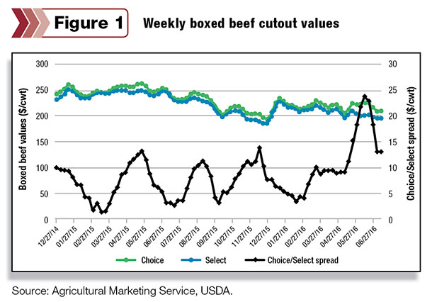 Demand for Choice beef supports record spread in June - Progressive ...
