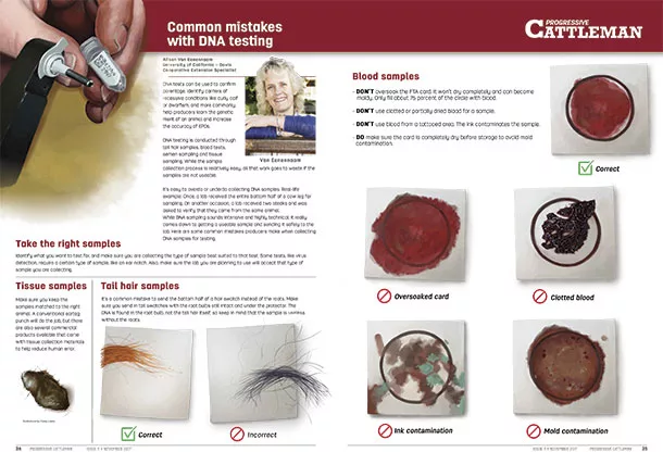 Common mistakes with DNA testing - Progressive Cattle | Ag Proud