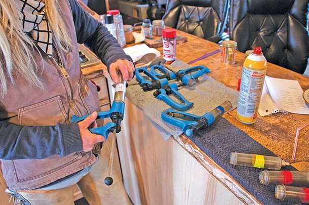 Build BQA stewardship through herd health plans - Progressive Cattle ...