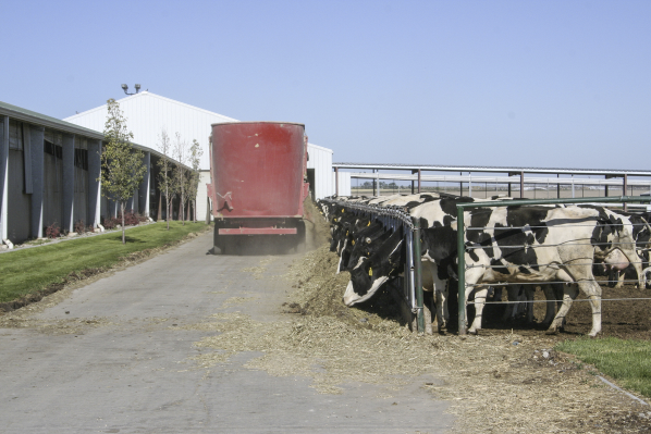 The vital role of byproduct use in California dairy feed rations ...