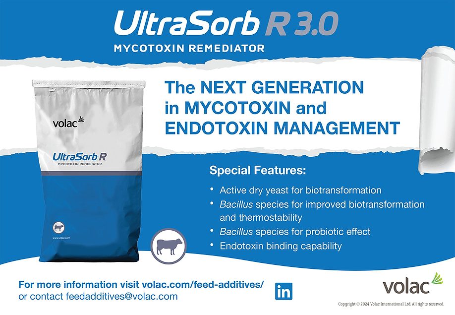Strategies needed to mitigate the additive effect of mycotoxins and ...
