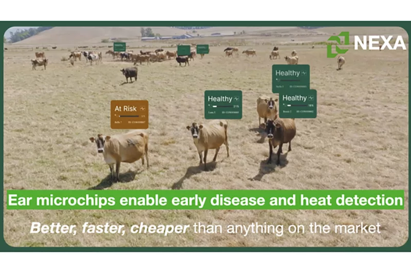Nexa Labs Announces First Implantable Cattle Monitoring System and AI ...