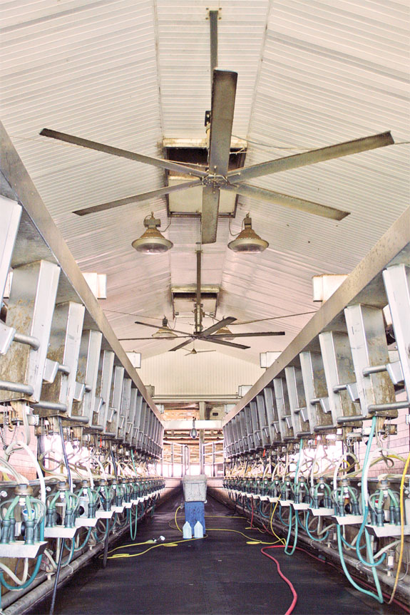Michigan dairy owner finds fans help in winter too - | Ag Proud
