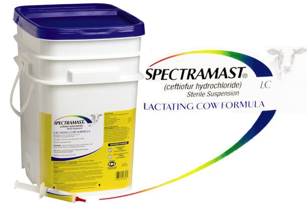 Zoetis announces Spectramast LC label extension for subclinical ...