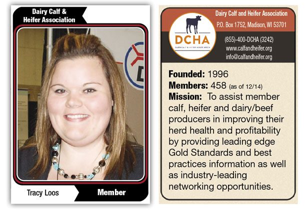 I belong to... Dairy Calf & Heifer Association: Tracy Loos ...