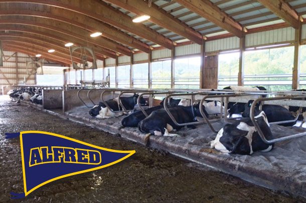 University dairy farm upgrades across the nation - Progressive Dairy ...