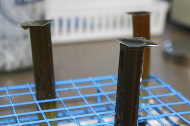 How to do a modified Wisconsin sugar float test: Find parasite ...