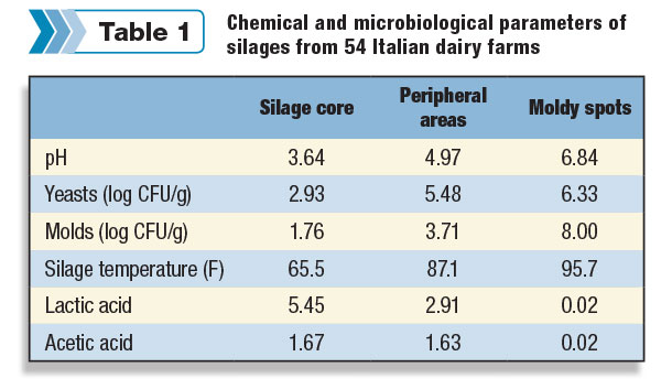Can face temperature gauge silage quality? - Progressive Dairy | Ag Proud