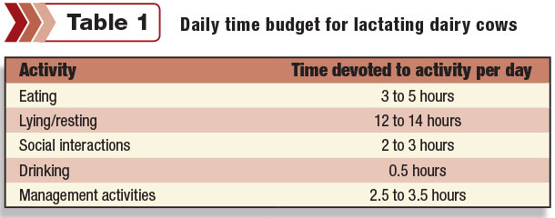 Measuring lying time can signal health changes - Progressive Dairy | Ag ...